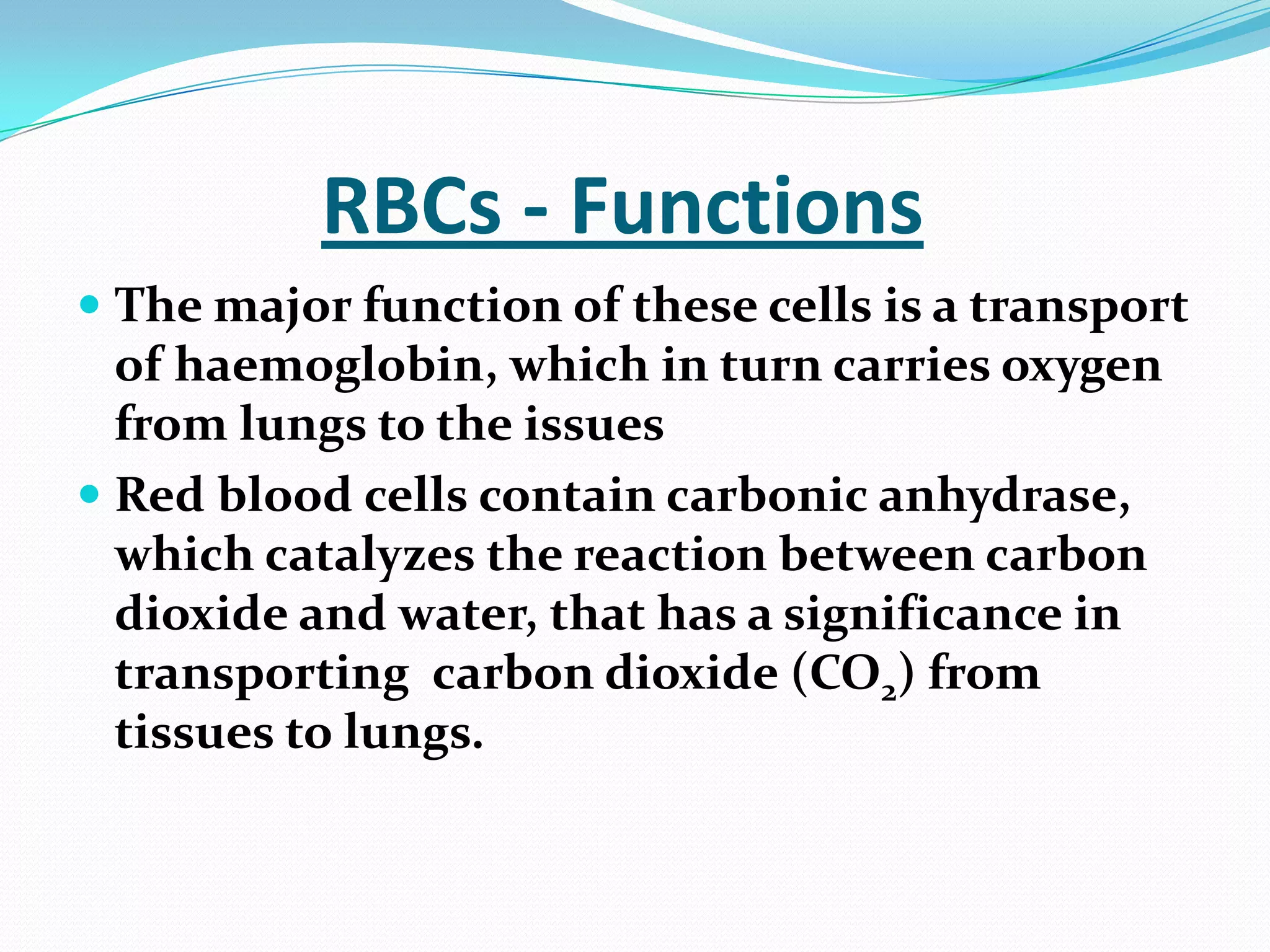 Blood Physiology - Ppt | PPTX
