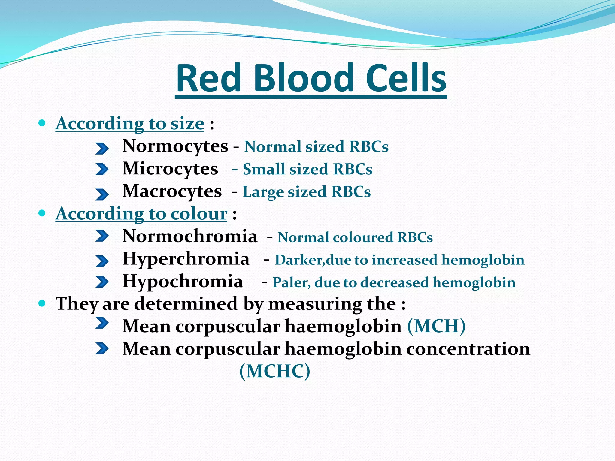 Blood Physiology - Ppt | PPTX