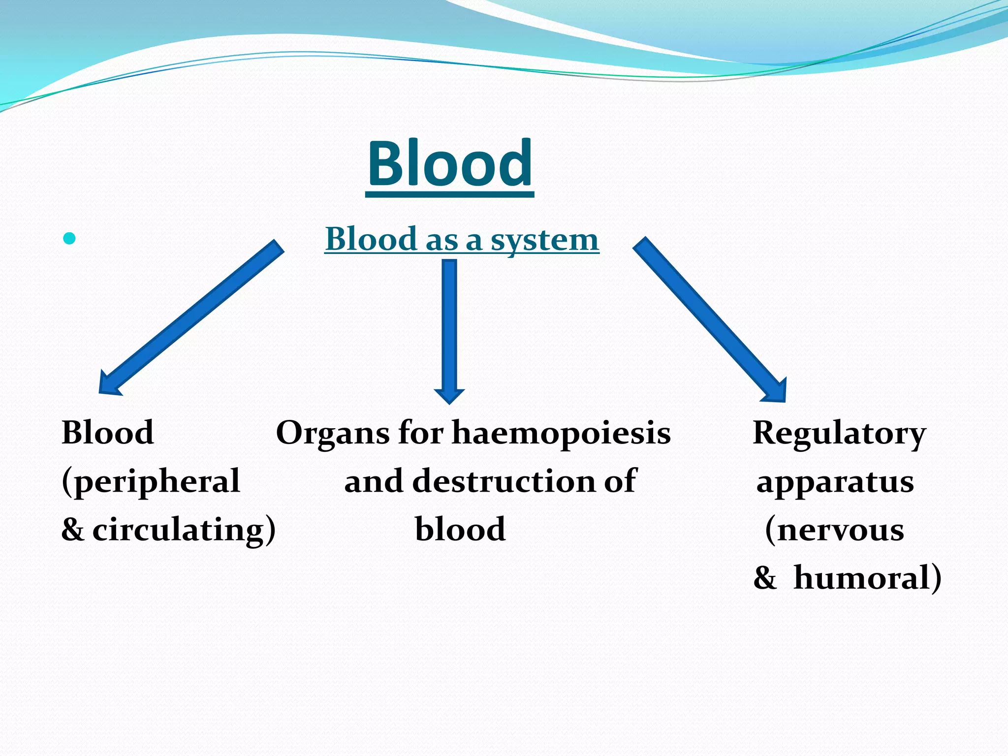 Blood Physiology - Ppt | PPTX