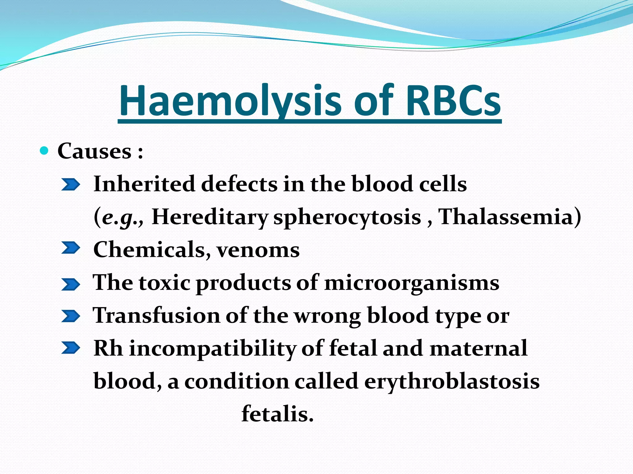 Blood Physiology - Ppt | PPTX