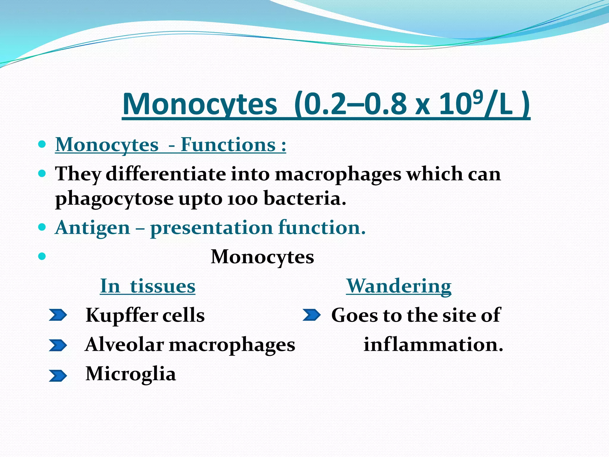 Blood Physiology - Ppt | PPTX