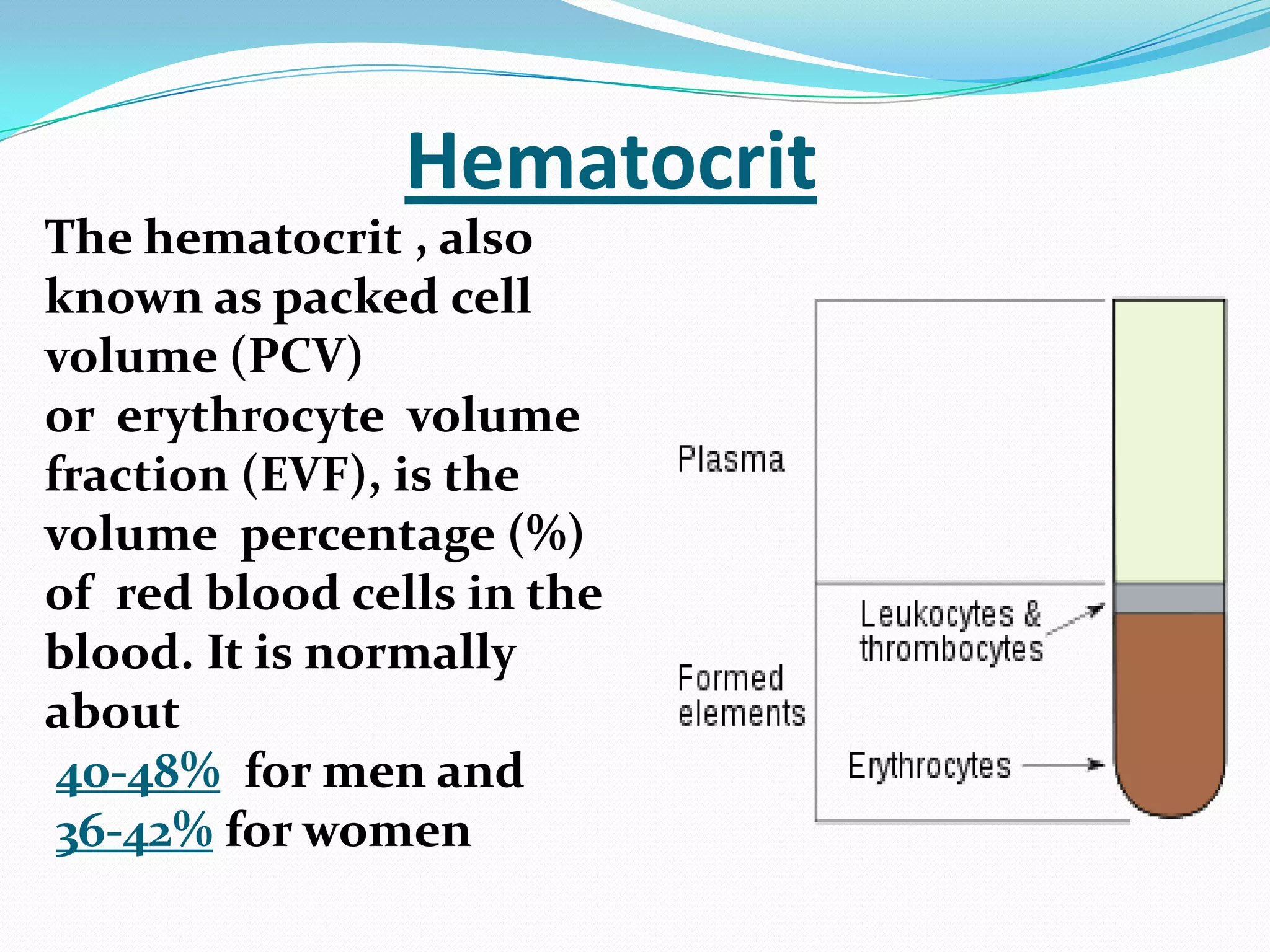 Blood Physiology - Ppt | PPTX