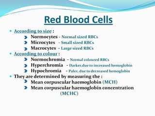 Blood Physiology - Ppt | PPTX