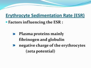 Blood Physiology - Ppt | PPTX