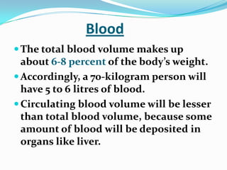 Total Blood In The Body