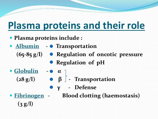 Blood Physiology - Ppt