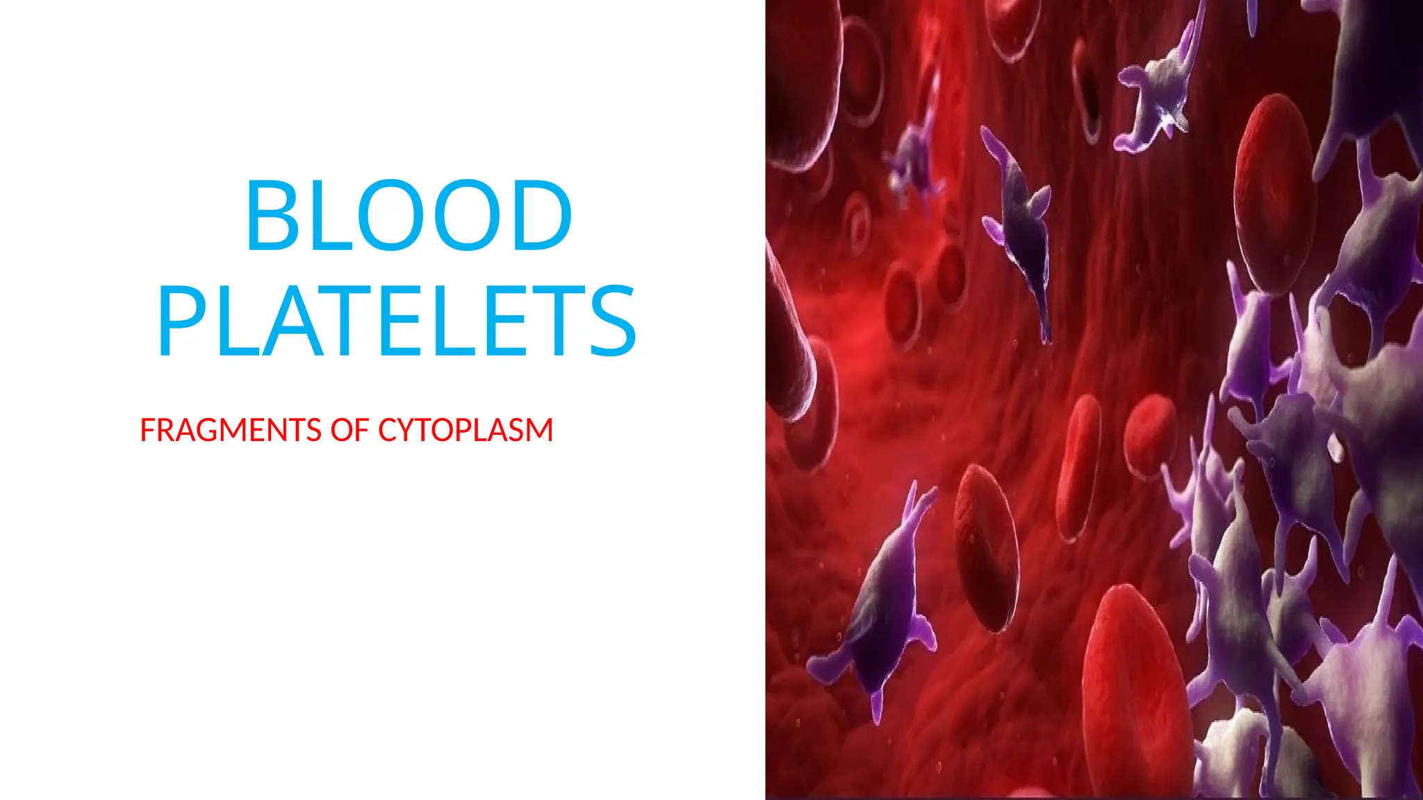 BLOOD PLATELETS POWERPOINT PRESENTATION.pptx