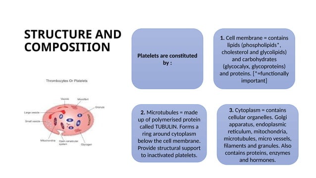 BLOOD PLATELETS POWERPOINT PRESENTATION.pptx