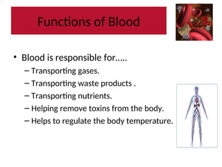 Physiology of Blood for medical physiology .ppt