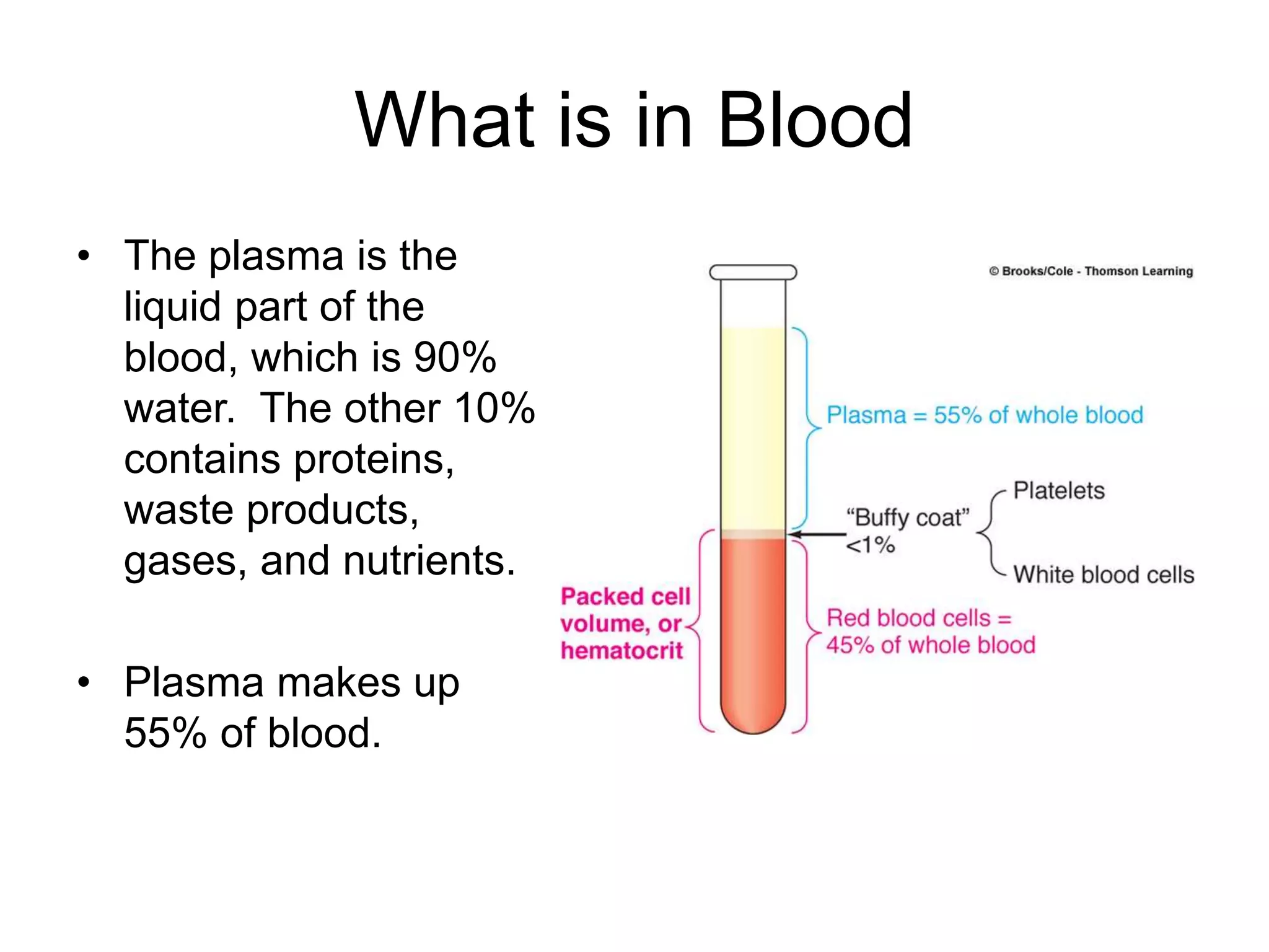 Blood Powerpoint1.ppt