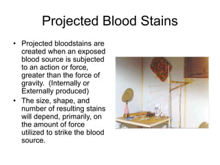 Blood Powerpoint1.ppt