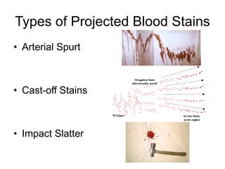 Blood Powerpoint1.ppt