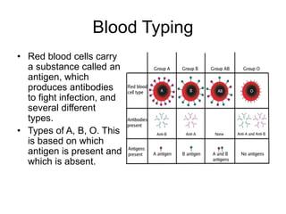 Blood Powerpoint1.ppt