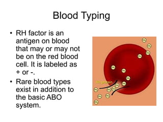 Blood Powerpoint1.ppt