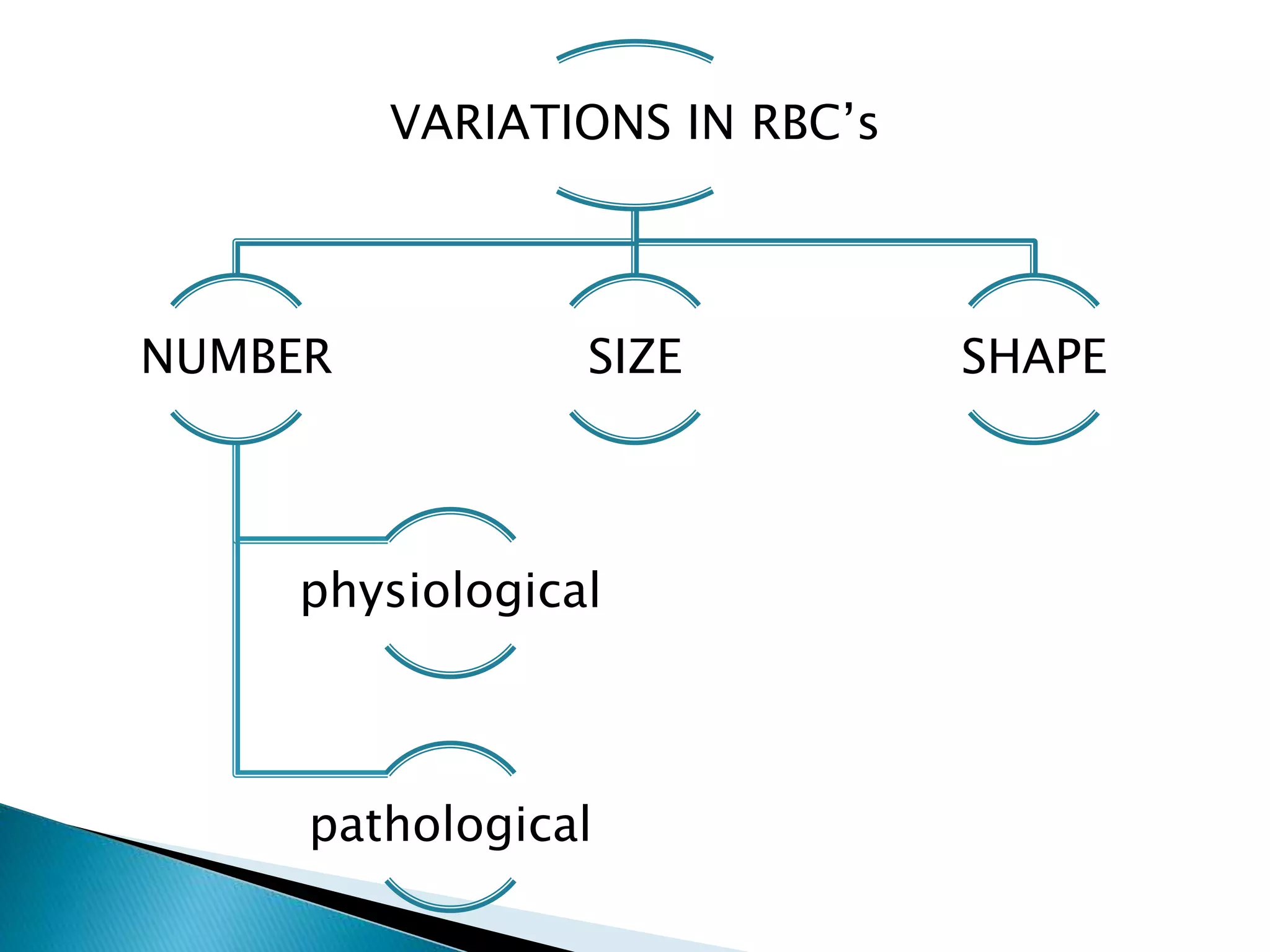 Blood, composition, rbc ,wbc ,platelets ,physiology, disorders,blood ...