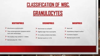 Blood & It's Cellular Elements and Their Important Functions By : Rahul ...