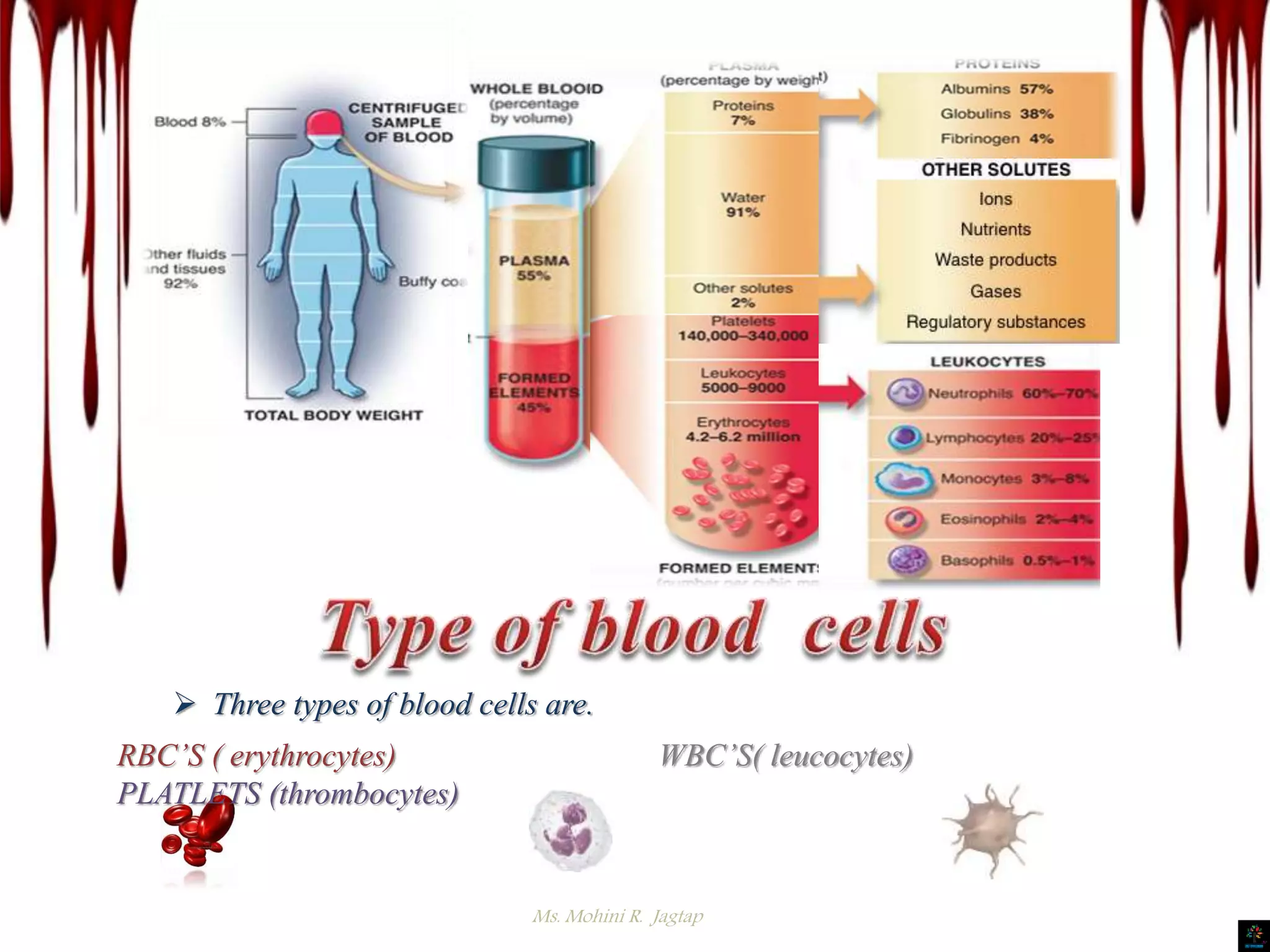 Blood | PPTX