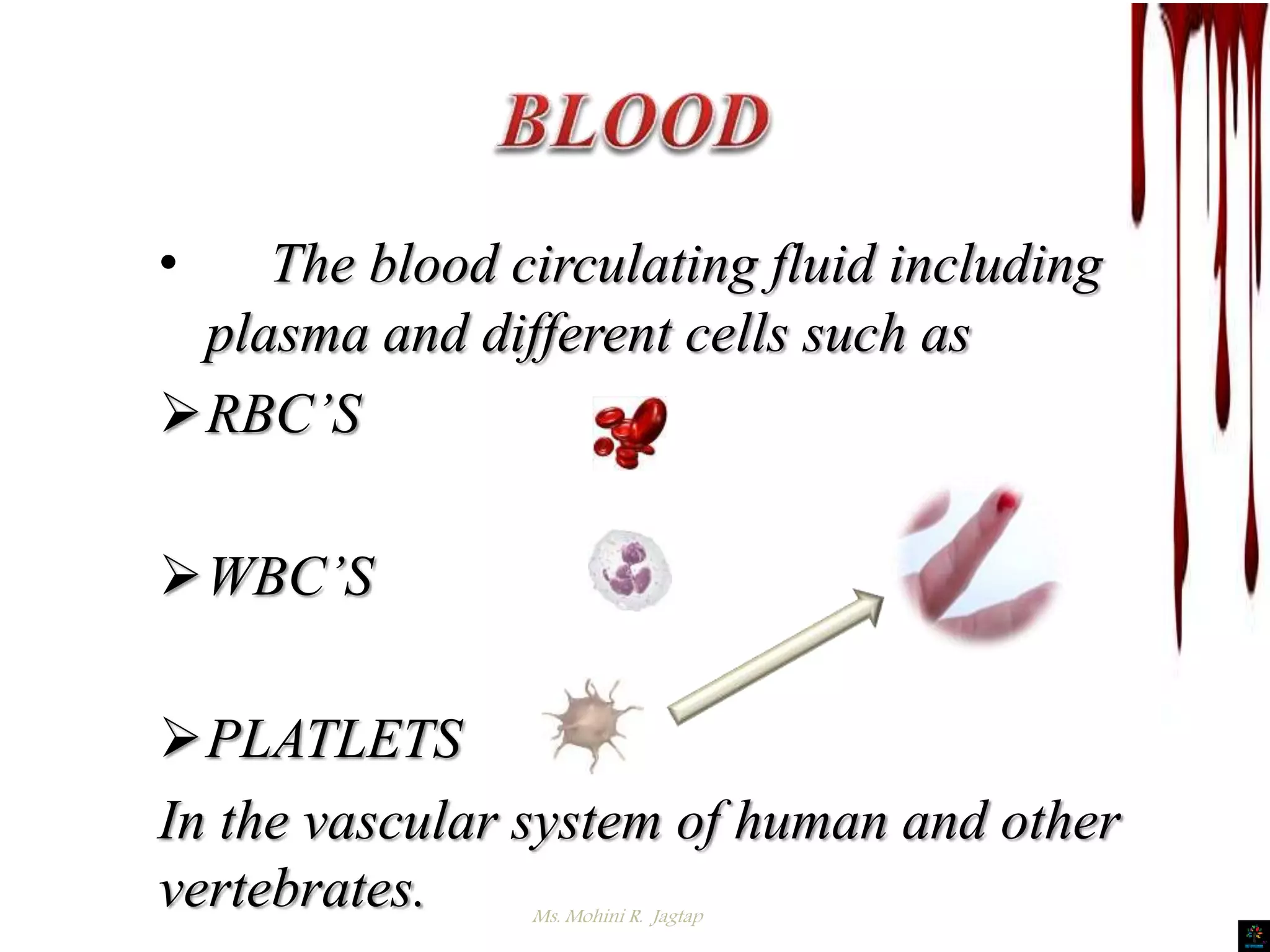 Blood | PPTX