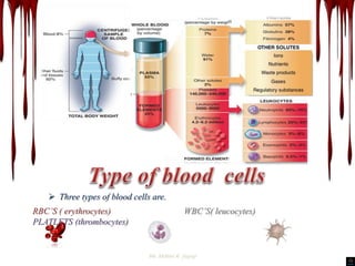 Blood | PPTX