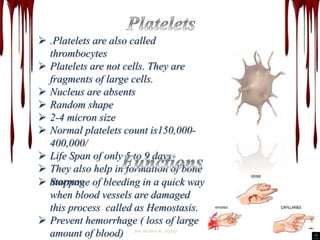 Blood | PPT