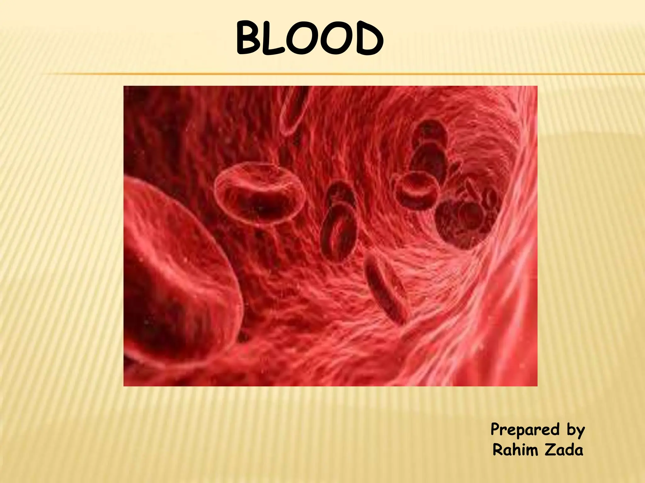 Blood is a special type of fluid made up of connective tissue. The ...