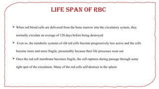 physiology of Blood and erythropoiesis and detail about white blood ...