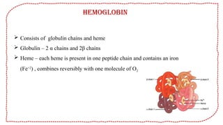 physiology of Blood and erythropoiesis and detail about white blood ...