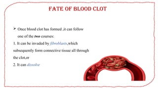 physiology of Blood and erythropoiesis and detail about white blood ...