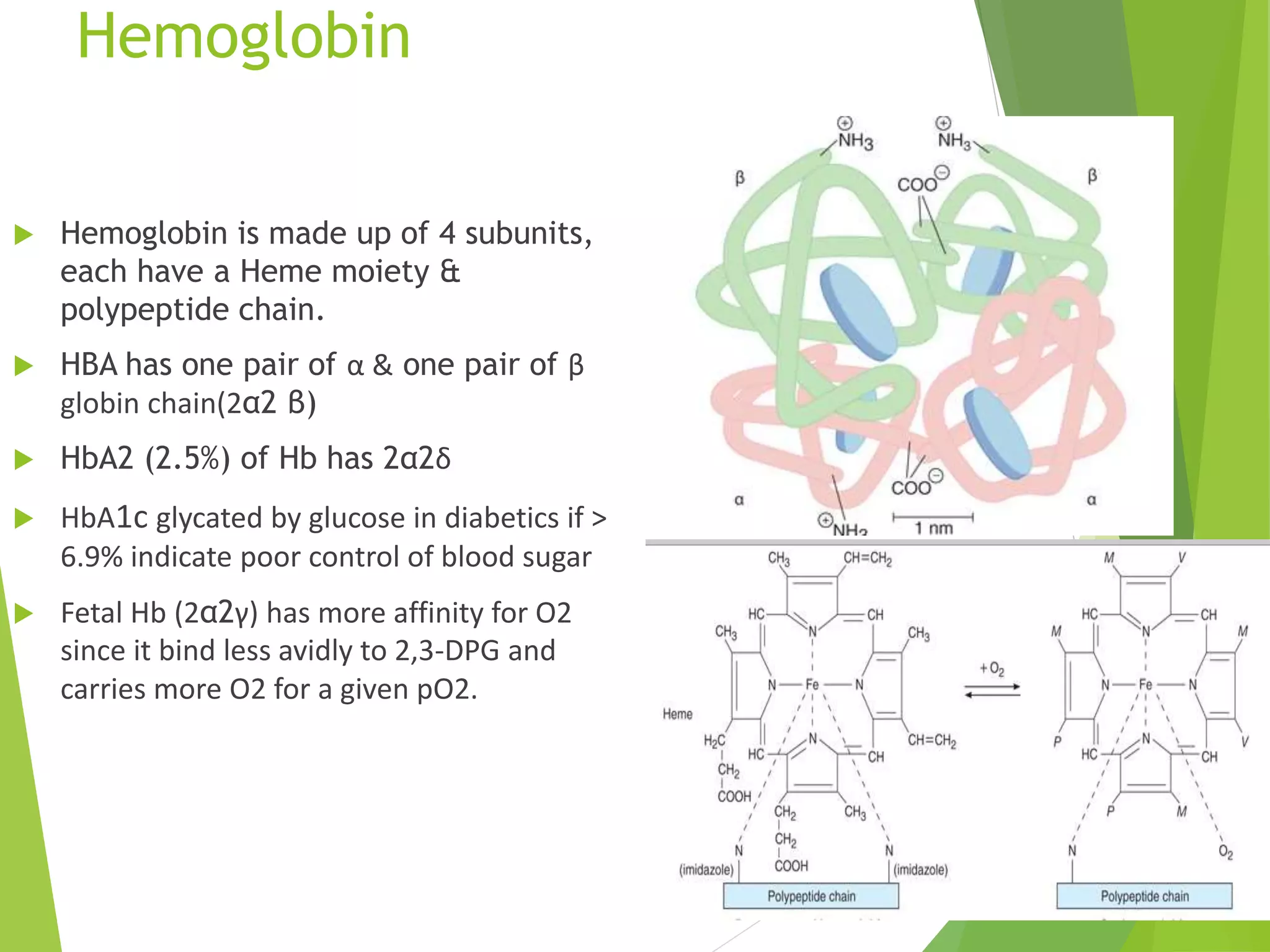 Blood Physiology | PPTX