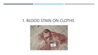 Blood Practical.pptx