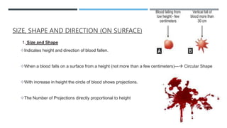 Blood Practical.pptx