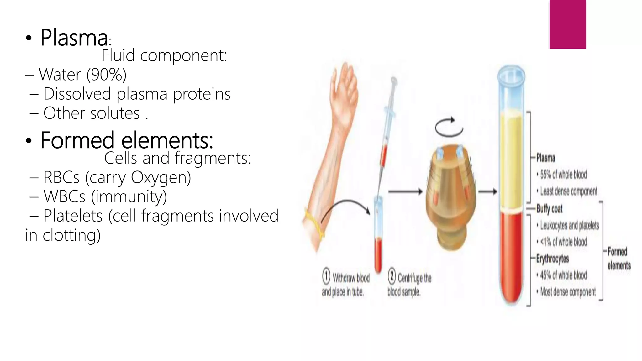 What is blood? | PPTX