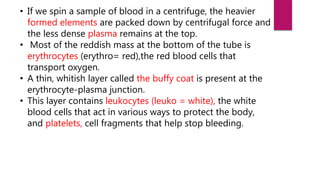 What is blood? | PPTX