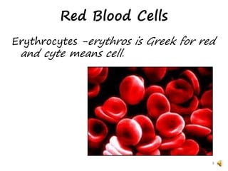 Blood .pdf