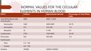 blood transfusion | PPT