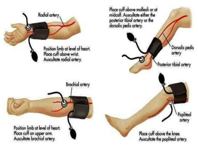 Blood Pressure Blood Pressure
