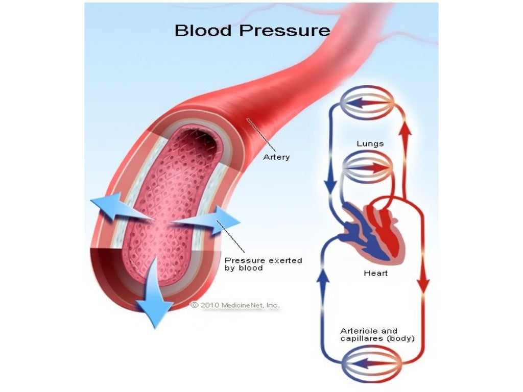 Blood Pressure blood-pressure