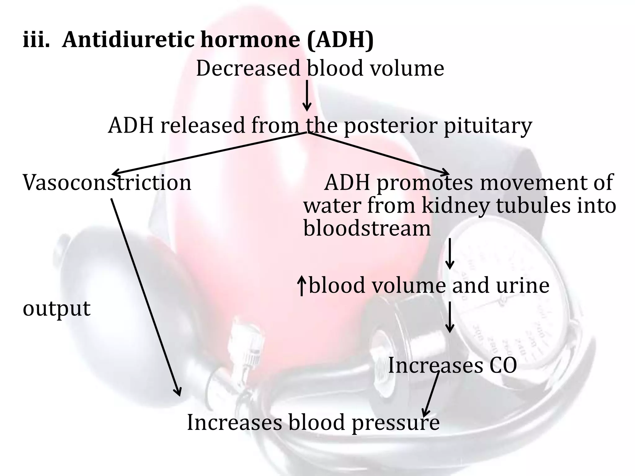 Blood pressure | PPSX