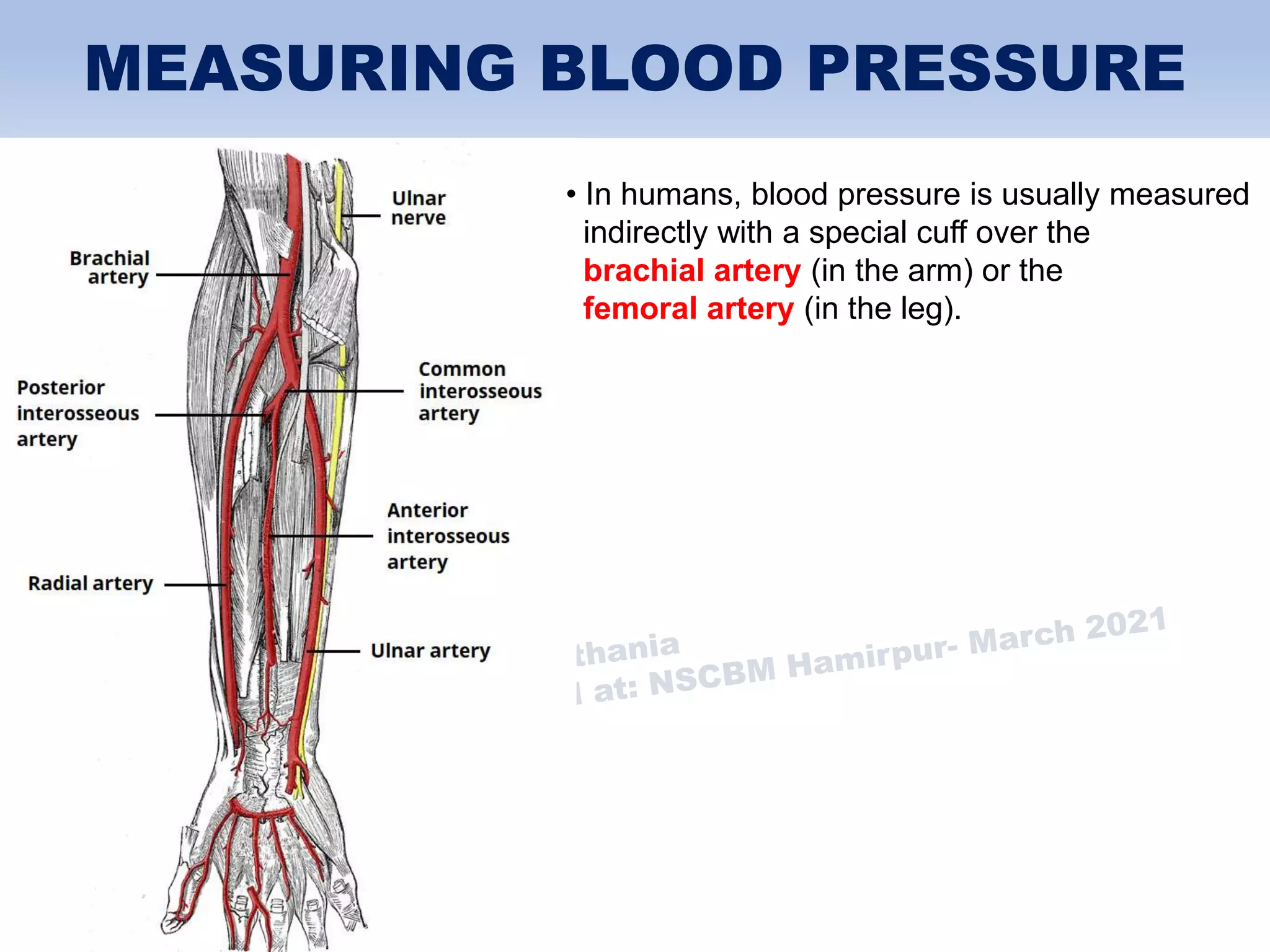 Blood pressure | PPTX