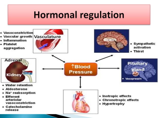 Blood pressure | PPTX