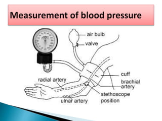 Blood pressure | PPTX