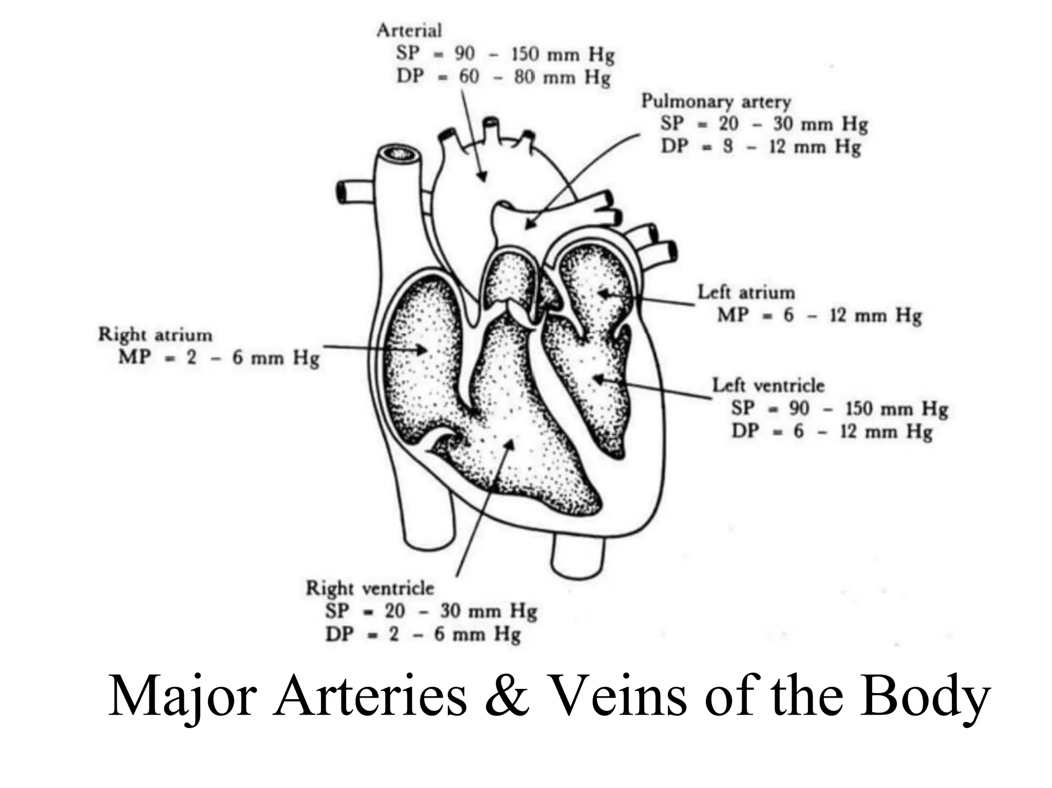 Blood Pressure. NOTES docx.pdf
