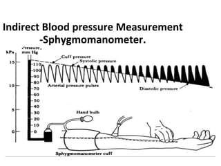 Blood Pressure. NOTES docx.pdf