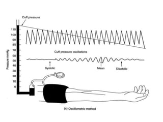 Blood Pressure. NOTES docx.pdf