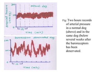 Blood_Pressure.ppt
