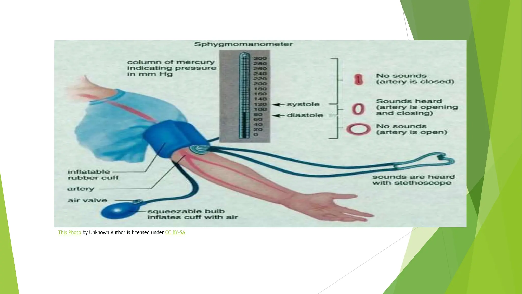 Blood pressure procedure of different equipment a | PPT
