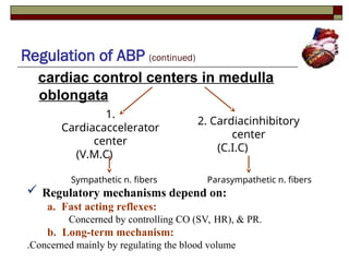 CARDIOVASCULAR PHYSIOLOGY [ARTERIAL BLOOD PRESSURE] | PPT