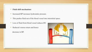 Physiology of Blood Pressure - Regulation | PPTX