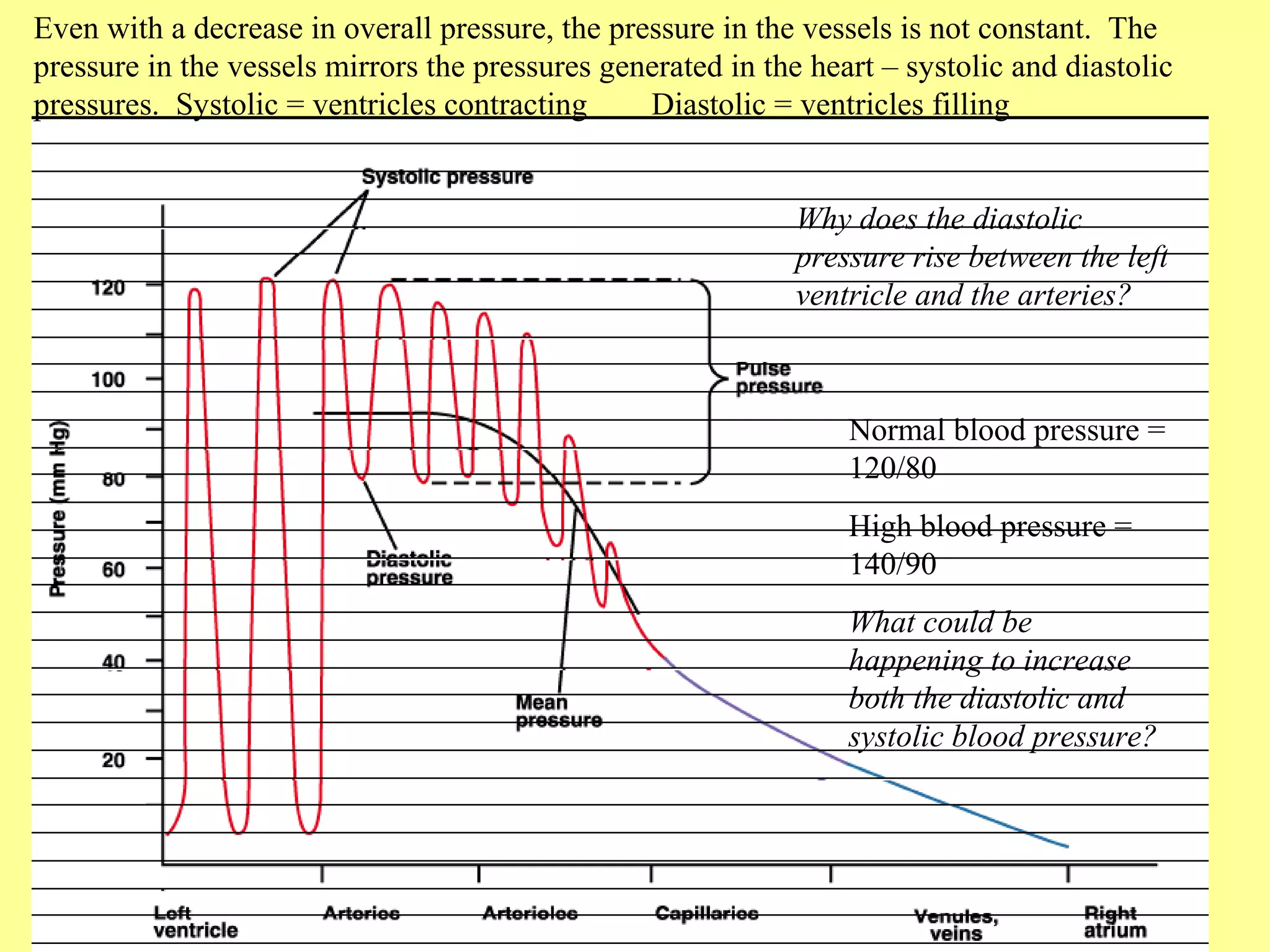 Blood pressure (1) | PPT