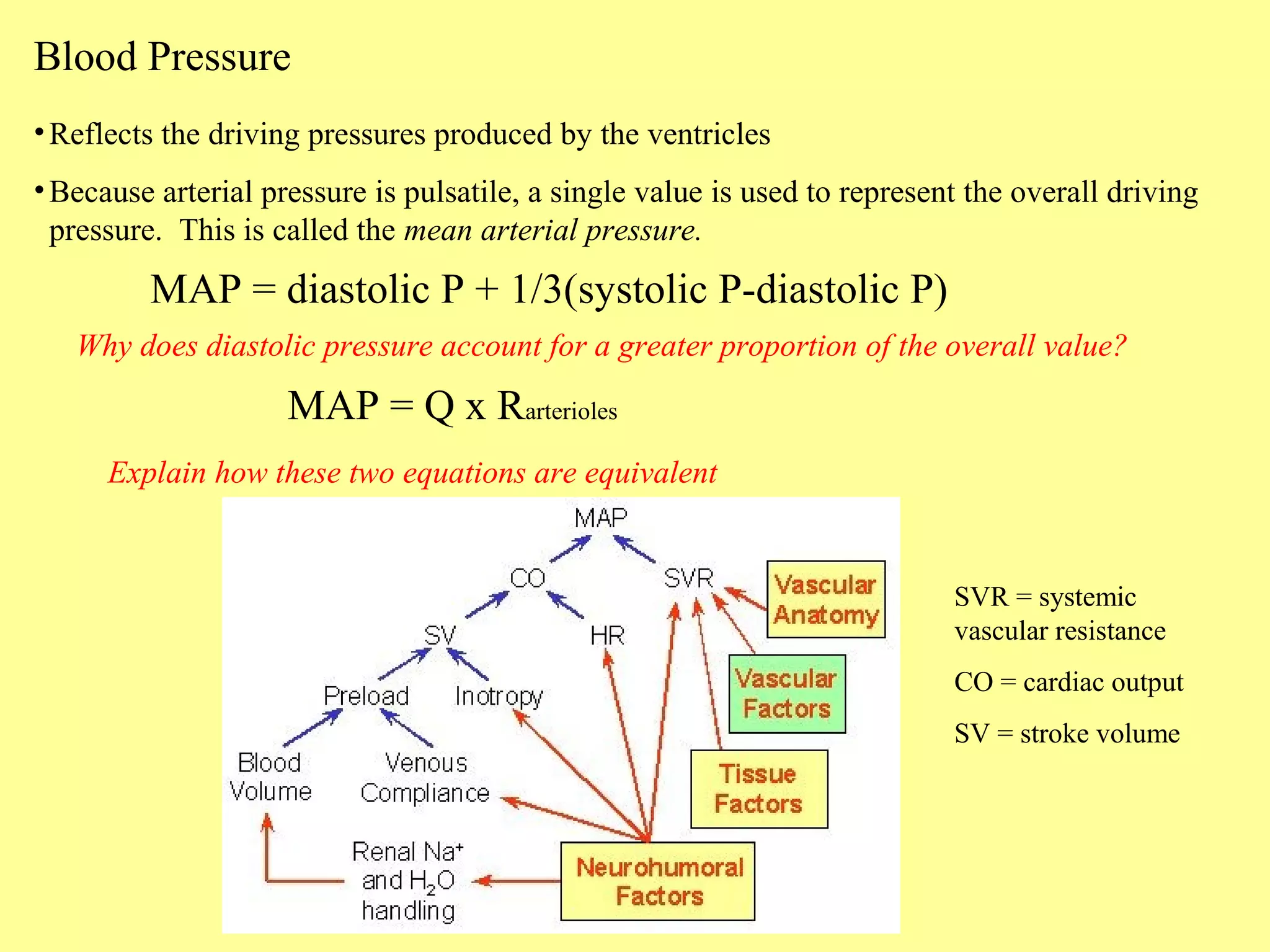 Blood pressure (1) | PPT